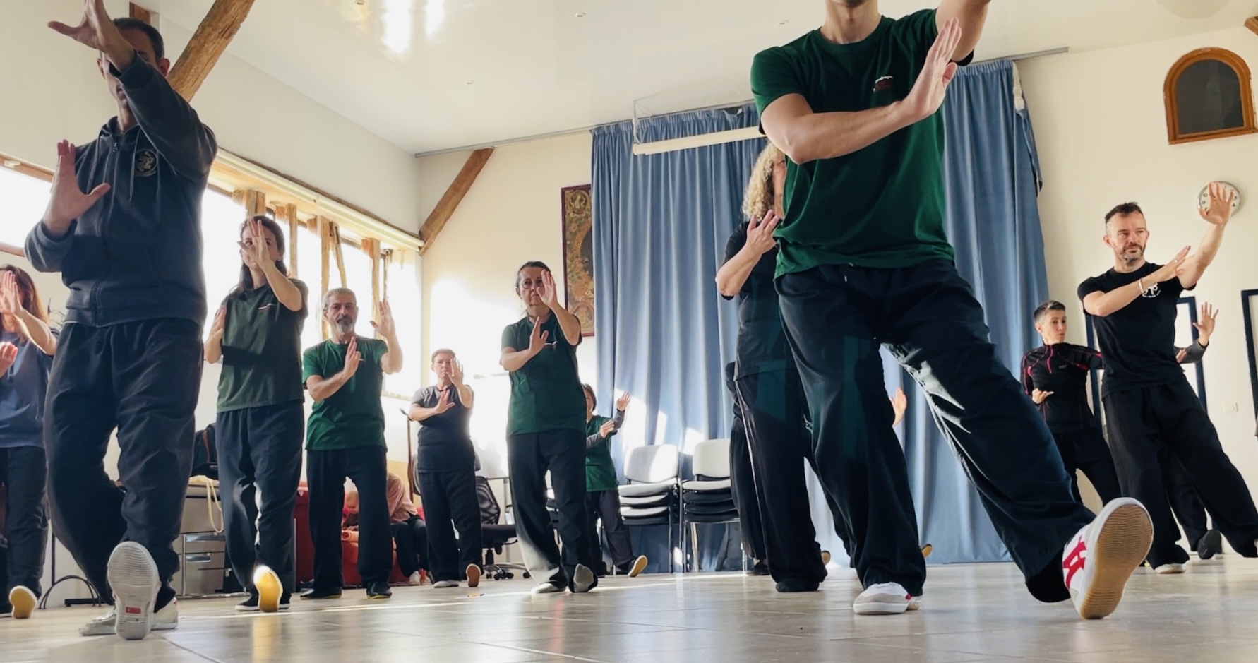 Taiji Quan - Style Yang - Phénix et Dragon