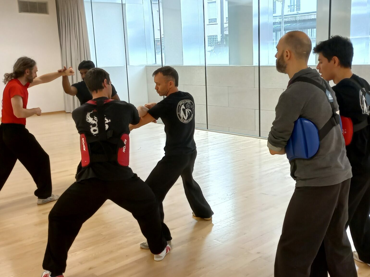 Styles de Kung Fu - Phénix et Dragon