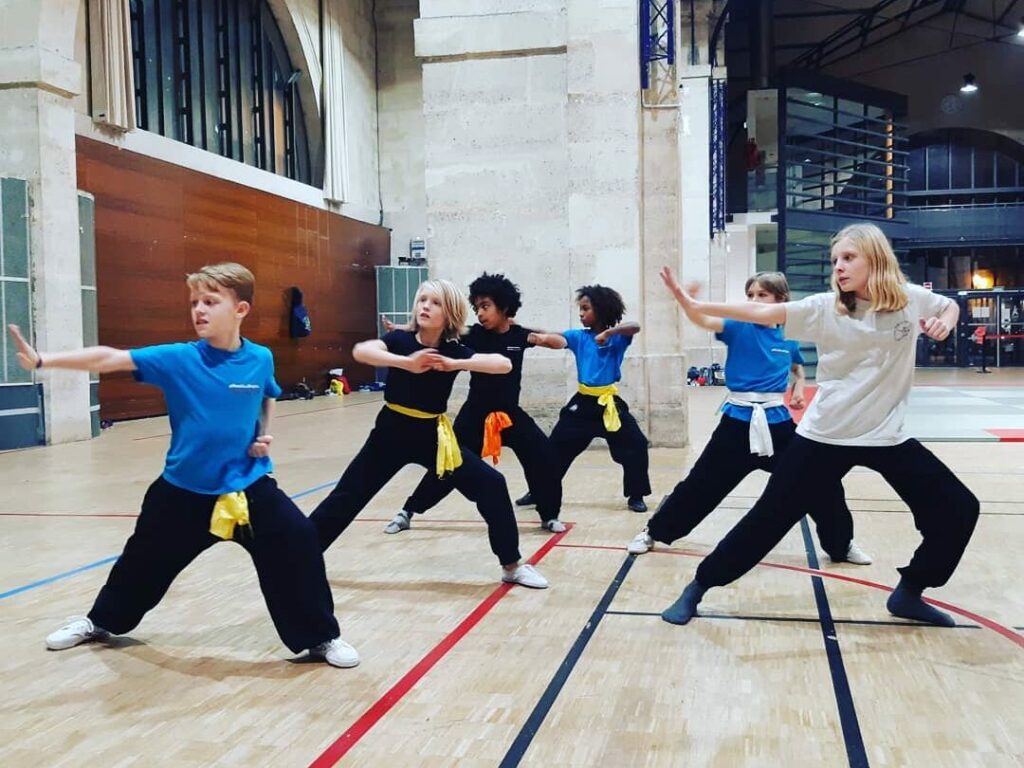 Le Kung Fu en Quelques Mots - Phénix et Dragon