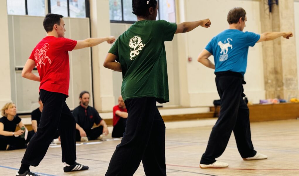 Le Kung Fu en Quelques Mots - Phénix et Dragon