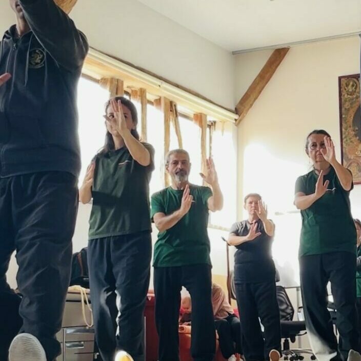 Premiers Stages de 2026 – Qi Gong, Taiji Quan et Kung Fu - Phénix et Dragon